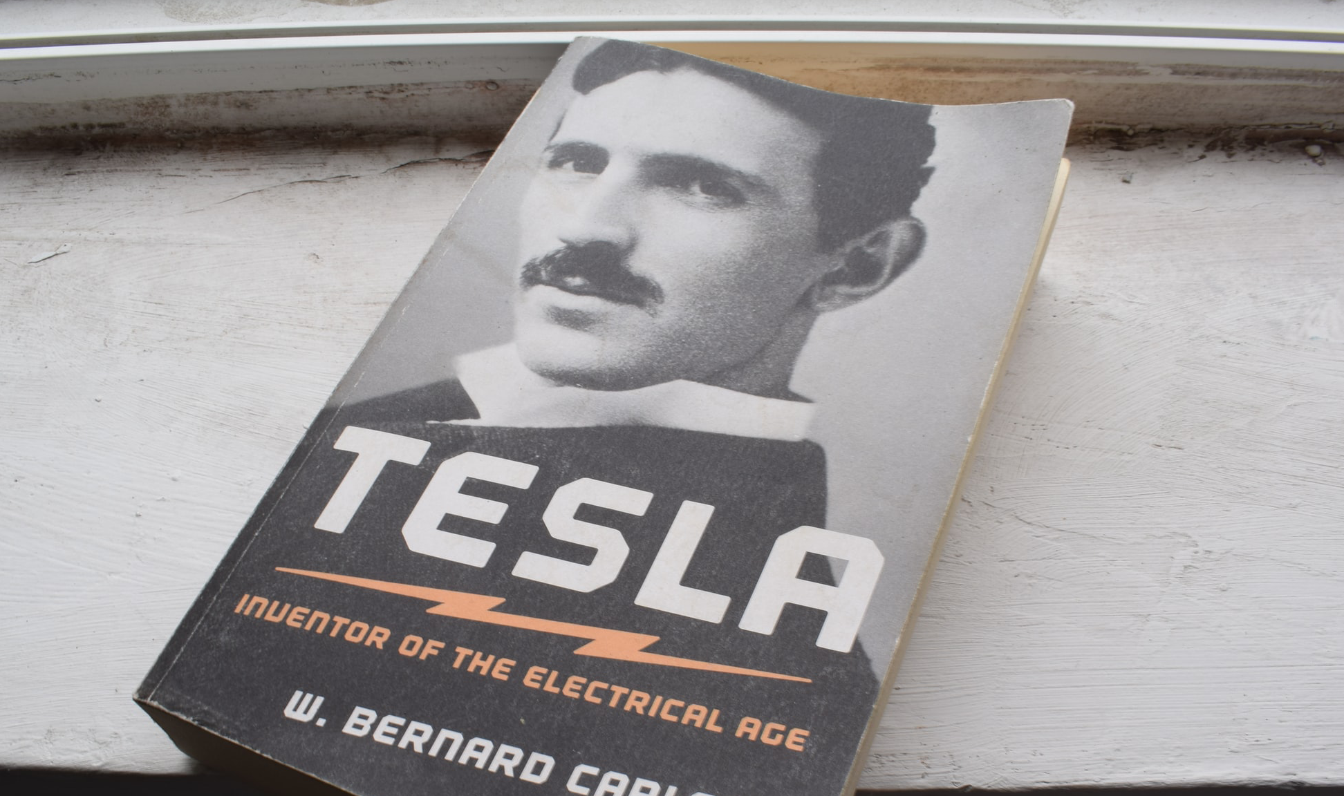 Telsa Healing Device - Silicon Palms