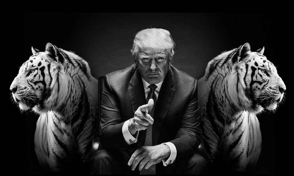 When the Going Gets Tough - Silicon Palms